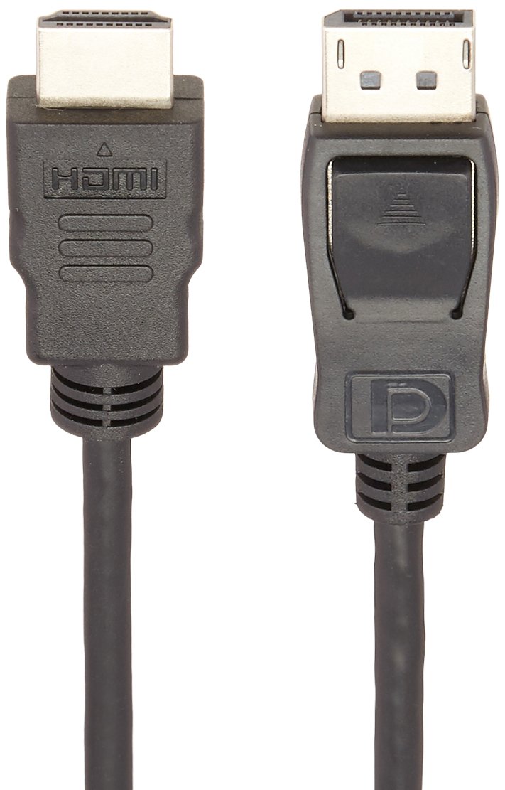 VisionTek HDMI to DisplayPort 1.5M Active Cable (M/M) - 900822