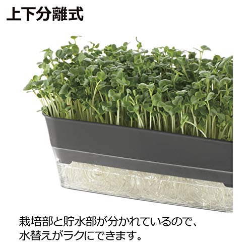 リッチェル Richell 002298 Sprout Farm Type 12 N Dark Gray, Set of 3, Made in Japan
