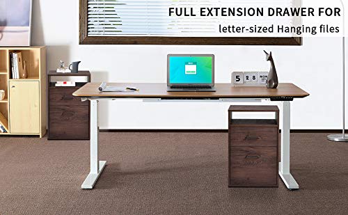 Vertical File Cabinet Wood Filing Storage Cabinet with 2 Drawers for Home Office -Walnut