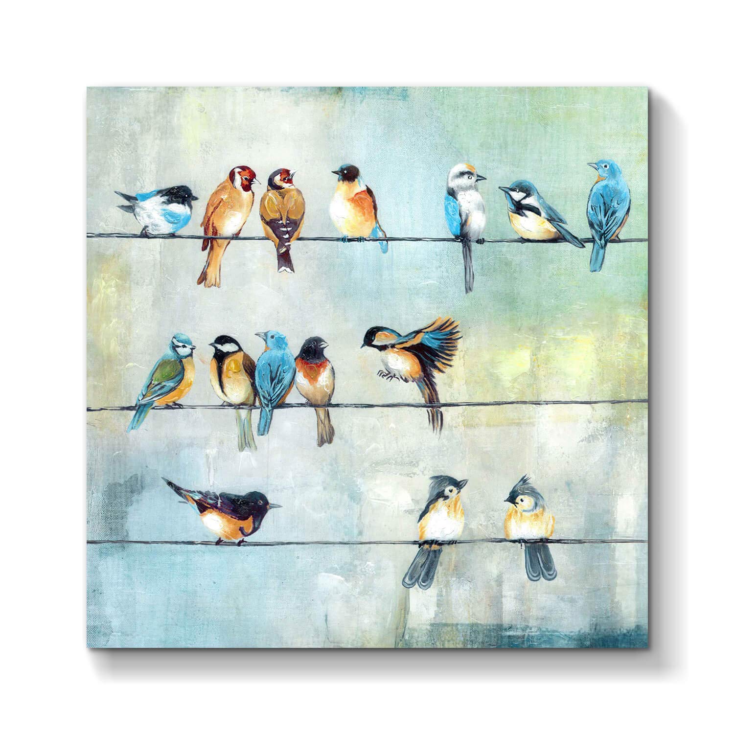 TAR TAR STUDIO Bird Picture Canvas Wall Art: Colorful Birds Painting Print on Canvas Artwork for Kids Bedroom (24''W x 24''H, Multiple Sizes)