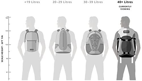 TETON 55L Scout Internal Frame Backpack for Hiking, Camping, Backpacking, Rain Cover Included