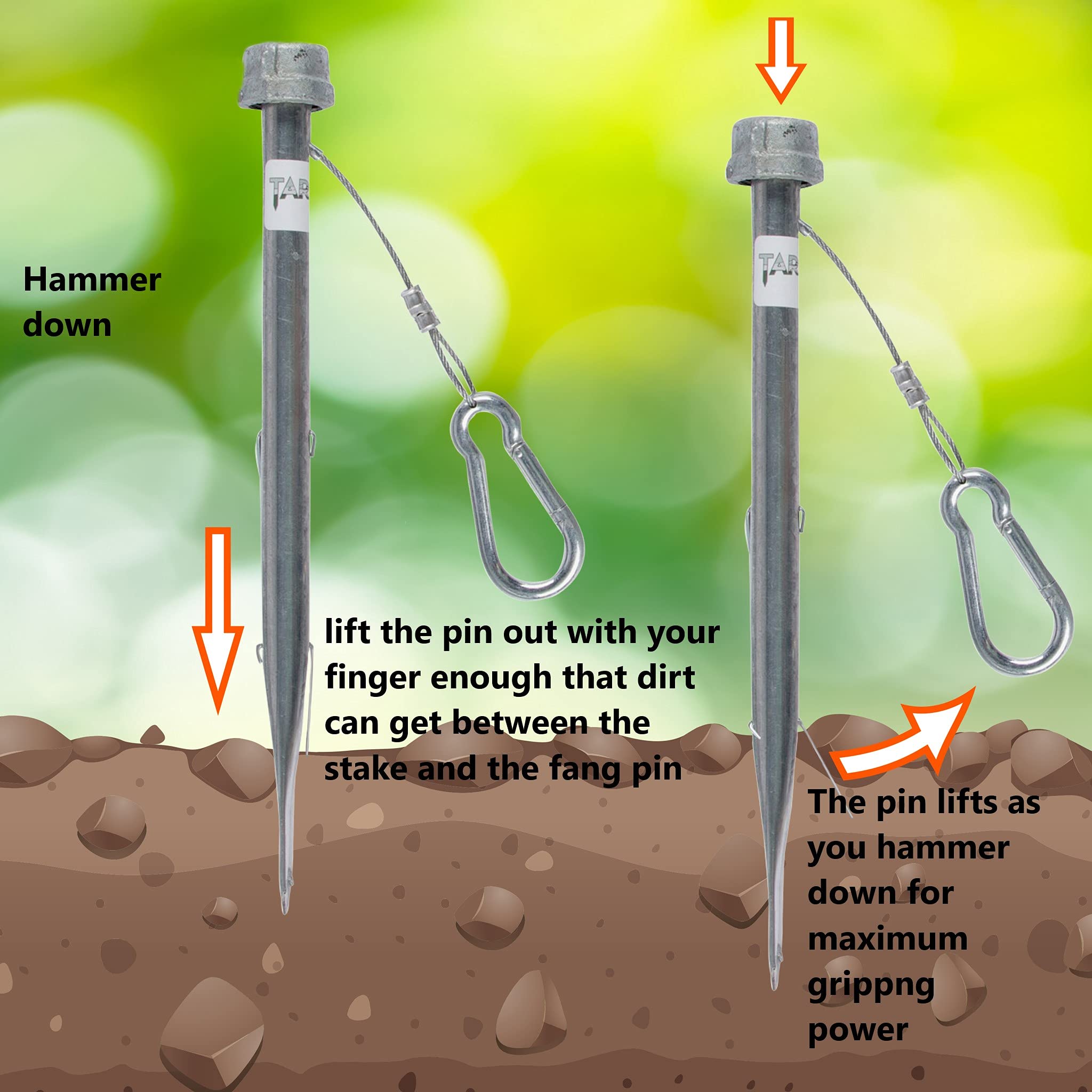 TARPFANG Tent Stake Set - Galvanized Tent Anchors, Tent Poles, Galvanized Top Made For Repeated Use, Included Carabiner For Fast Latch On To Tents, Compact For Easy Storage