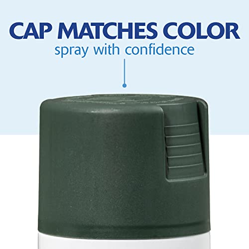 Rust-Oleum 334072-6PK Painter's Touch 2X Ultra Cover Spray Paint, 12 oz, Satin Hunt Club Green, 6 Pack
