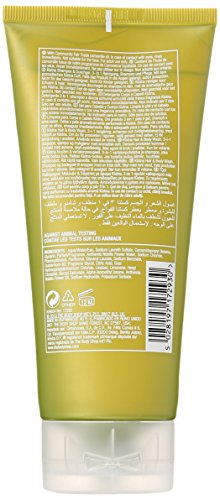 The Body Shop Kistna Hair & Body Wash, 6.75 Fluid Ounce