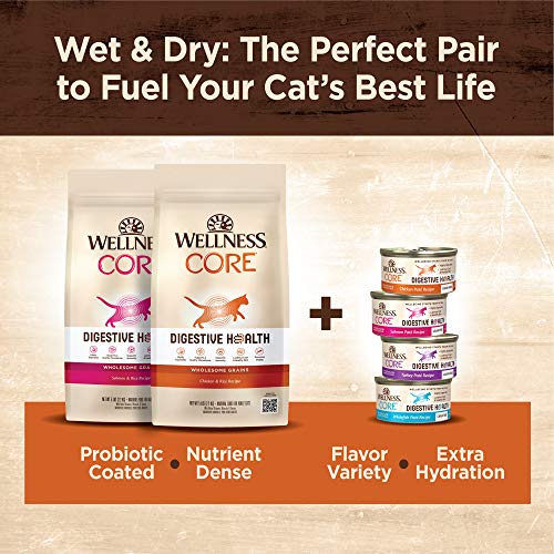 Wellness CORE Digestive Health Wholesome Grains Probiotic Coated High Protein Dry Cat Food, Chicken & Rice Dry Cat Food, 11 Pound Bag