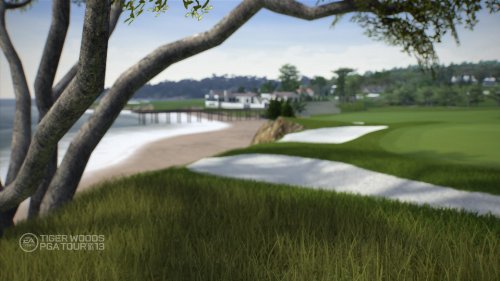 Tiger Woods PGA TOUR 13: The Masters Collector's Edition - Playstation 3