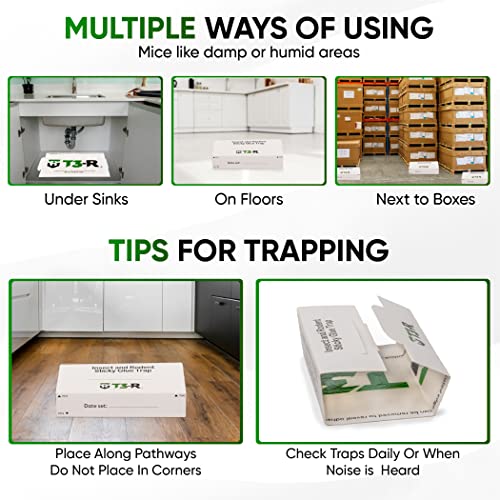 T3-R Sticky Large Rat & Mice Glue Traps | Mouse and Insect Glue Boards | Disposable Non-Toxic Glue Traps for Mice and Rats | Peanut Butter Scent Sticky Traps (36 Pack)
