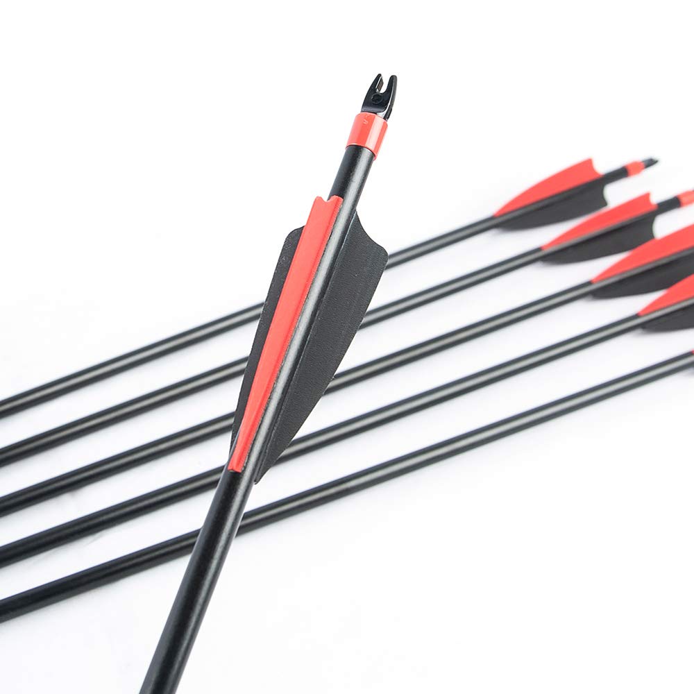TOPOINT ARCHERY 30inch 8mm Fiberglass Hunting Practice Arrows with Replaceable Arrowhead Spine 500 for Recure and Compound Bow Target (Pack of 12) (2 Black 1 red vanes)