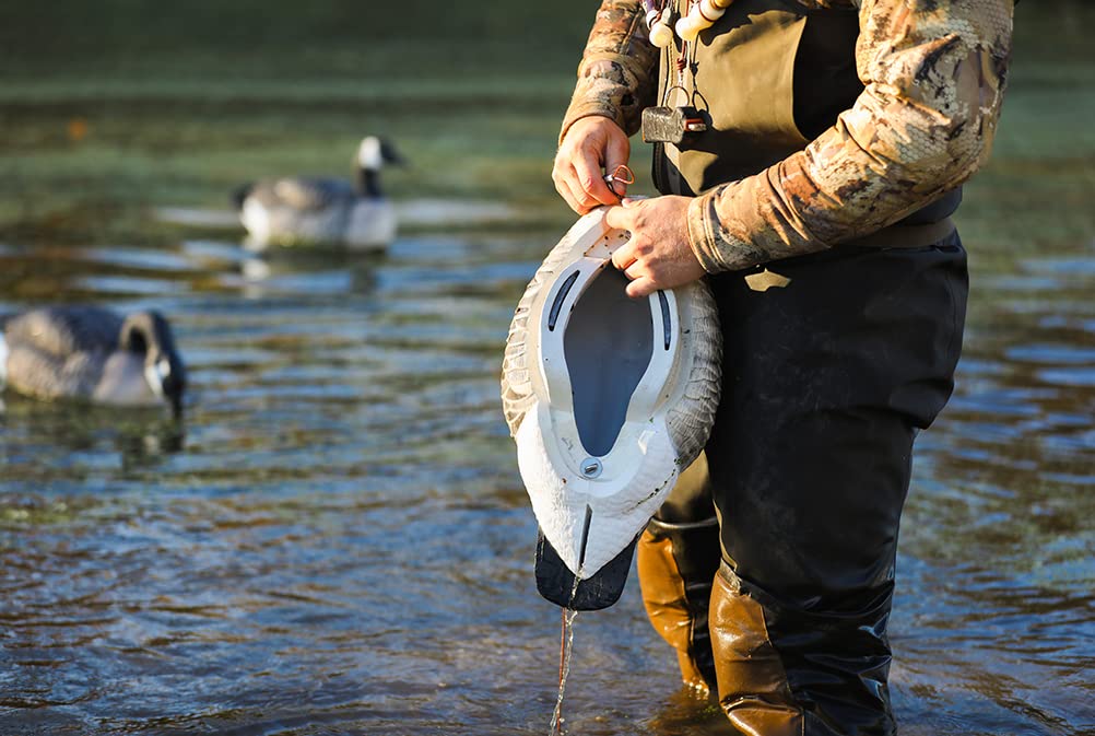 Ultralight 100% HydroFoam Canada Goose 4 Pack - Light as a Feather - Lasts Forever