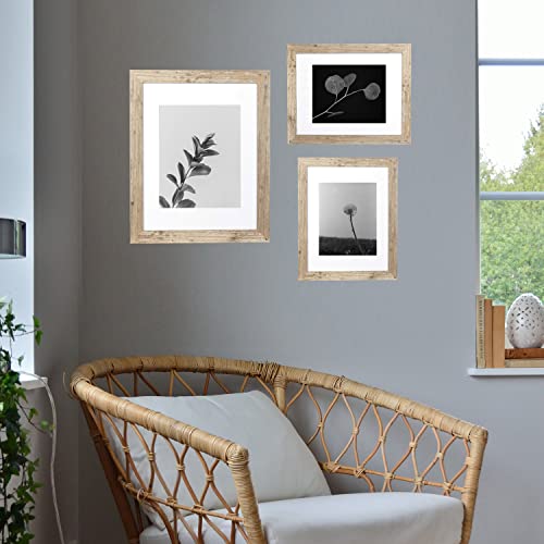 YOUNG POONG 11x14 Picture Frame Set of 2 Rustic Farmhouse Photo Frame with Tempered Glass for Wall and Tabletop Display