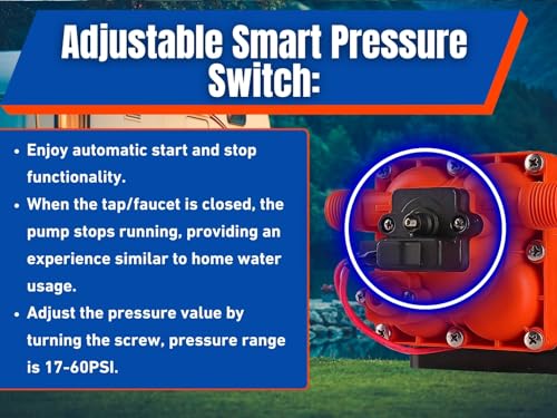 Seaflo 42 Series Diaphragm Pump with Bypass for Reduced Cycling 12V/24V 3.0GPM 55PSI (12 Volts)