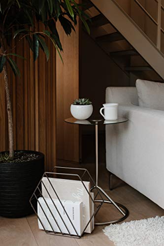 Umbra Zina Magazine Rack & Record Holder, Perfect for Vinyl Record Storage, Stands or Mounts to Wall, Titanium