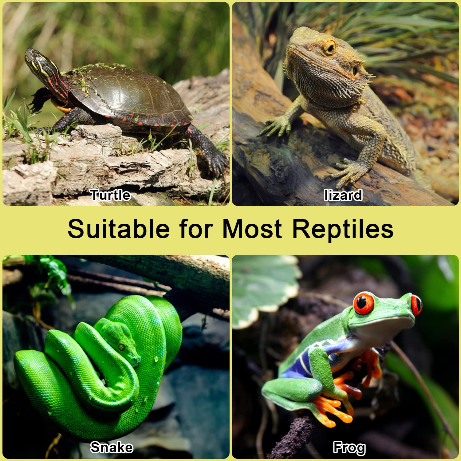 ZJNBMTFY Reptile Heat Lamp, UVAB Reptile Light with Clamp,360° Rotatable Turtle Heating Lamp, Turtle Light for Reptile Bearded Dragon Reptiles Turtle Lizard Snake Heat Lamp, 2 Basking Bulbs Included…
