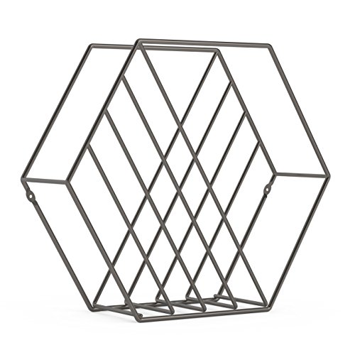 Umbra Zina Magazine Rack & Record Holder, Perfect for Vinyl Record Storage, Stands or Mounts to Wall, Titanium