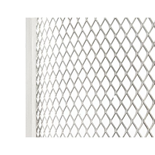 Westinghouse 6312124 Skyview One-Light LED Outdoor Wall Fixture, Brushed Nickel Finish with Mesh and Clear Glass
