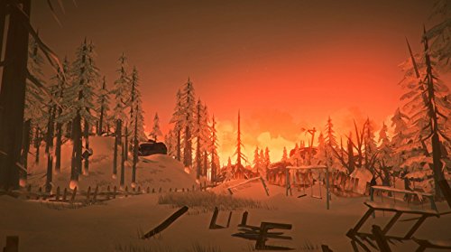 The Long Dark - PlayStation 4