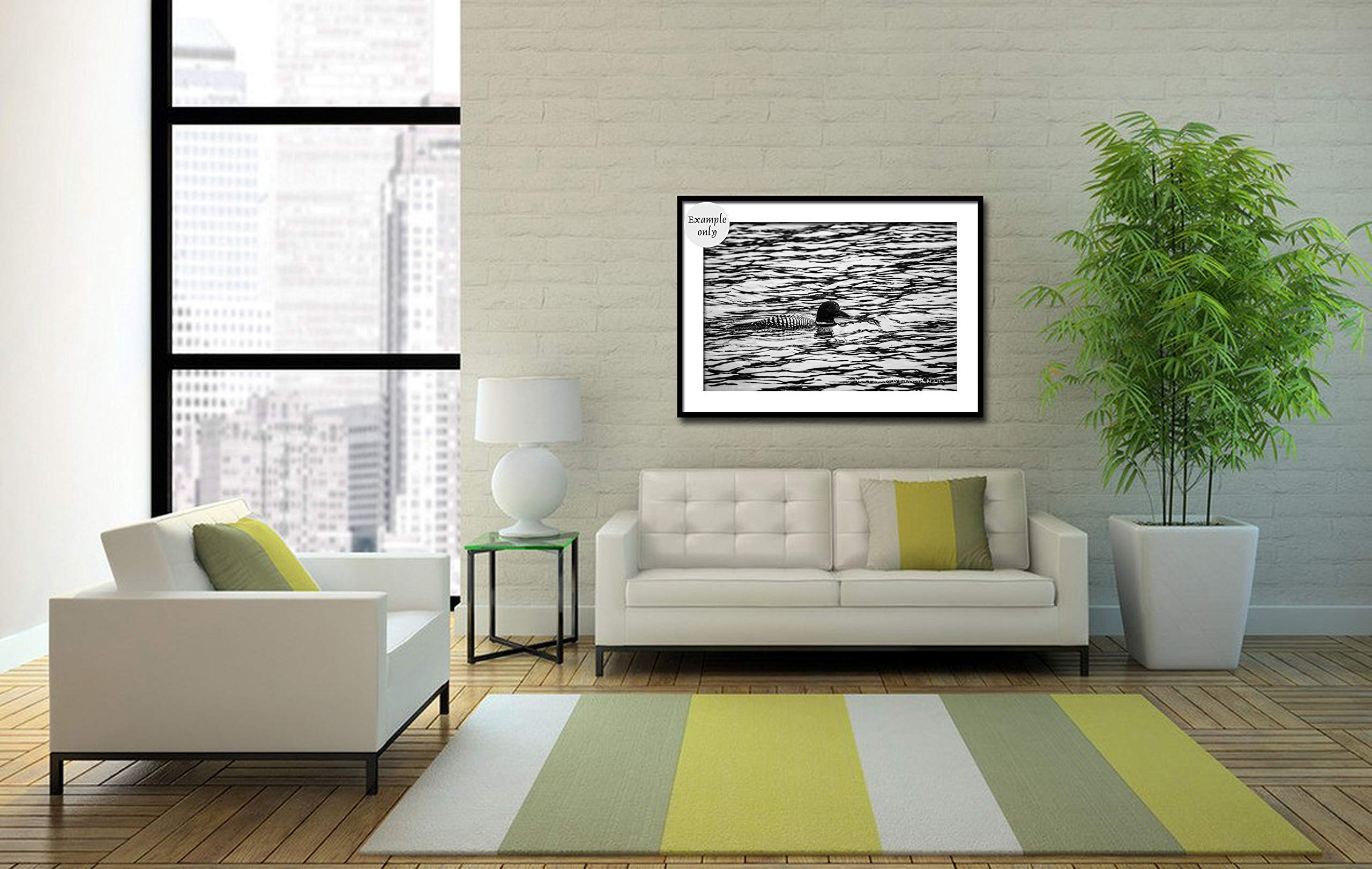 Swimming Loon on Water Bird Photography Unframed Black and White Print Nature Photo Silver Gray Wall Art Monochrome Home Decor