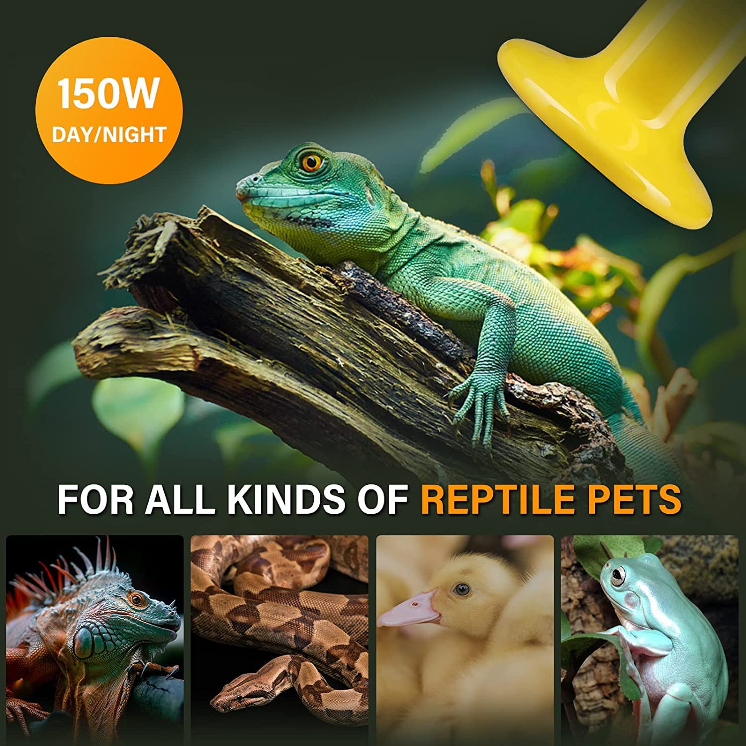 Simple Deluxe Ceramic Heat Emitter Heating Bulb No Light Reptile Heat Lamp, Brooder Coop Heater for Terrarium Amphibian Pet Snake Turtle, Incubating Chicken, 150W, 2 Pack, Yellow