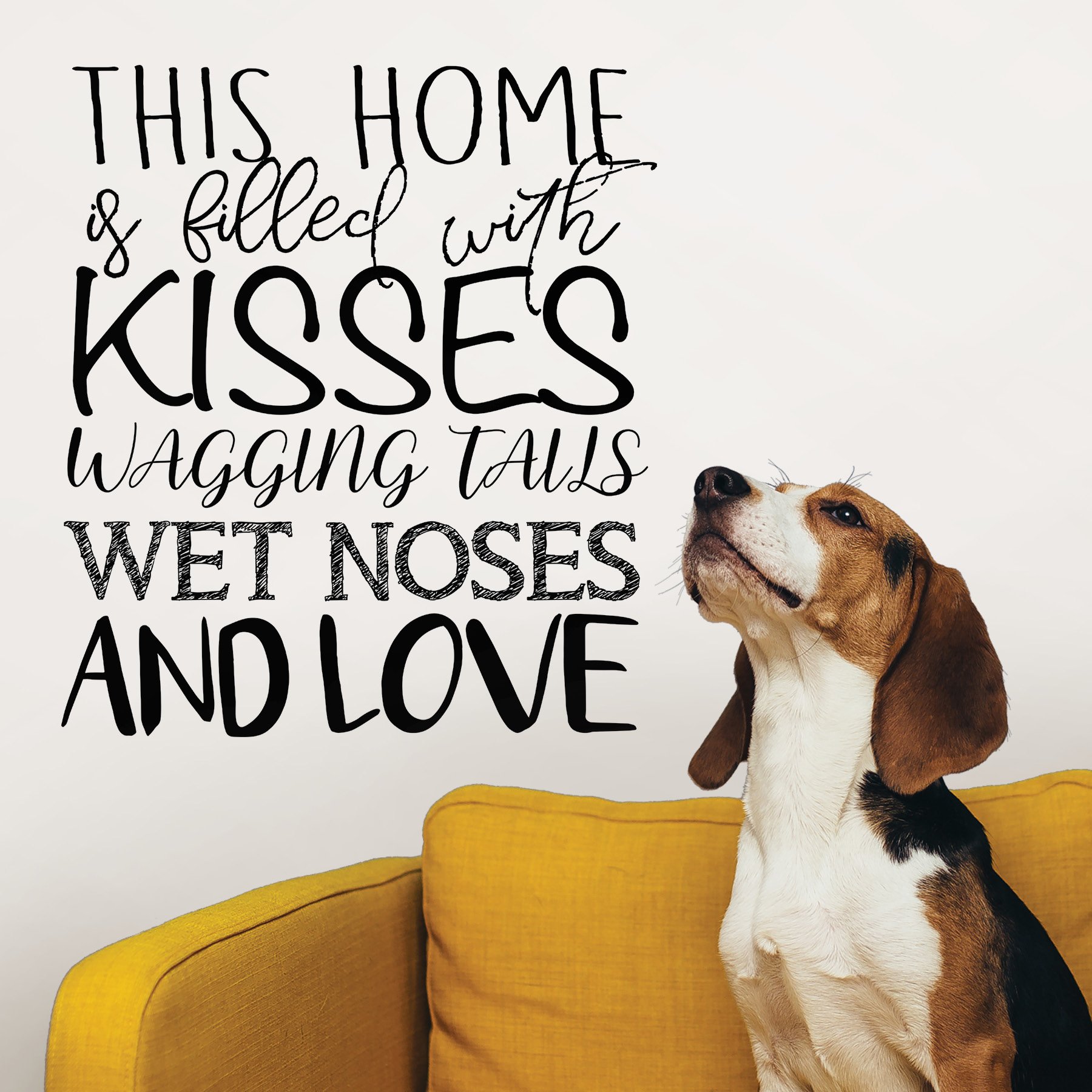 Wall Pops DWPQ2898 Wagging Tails and Wet Noses Quote Wall Decal, Black
