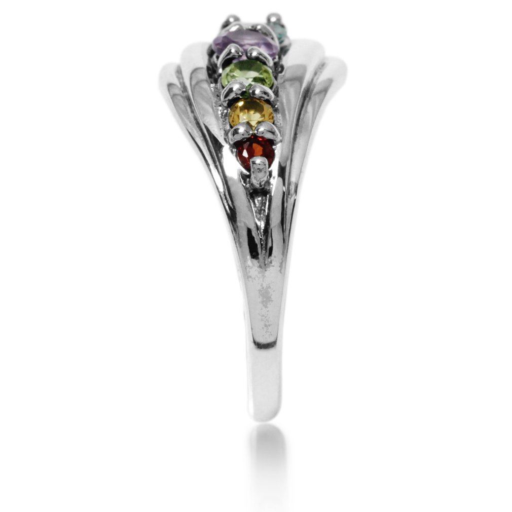 Silvershake Natural Garnet Citrine Peridot Amethyst and Blue Topaz 925 Sterling Silver Journey Ring Size 10