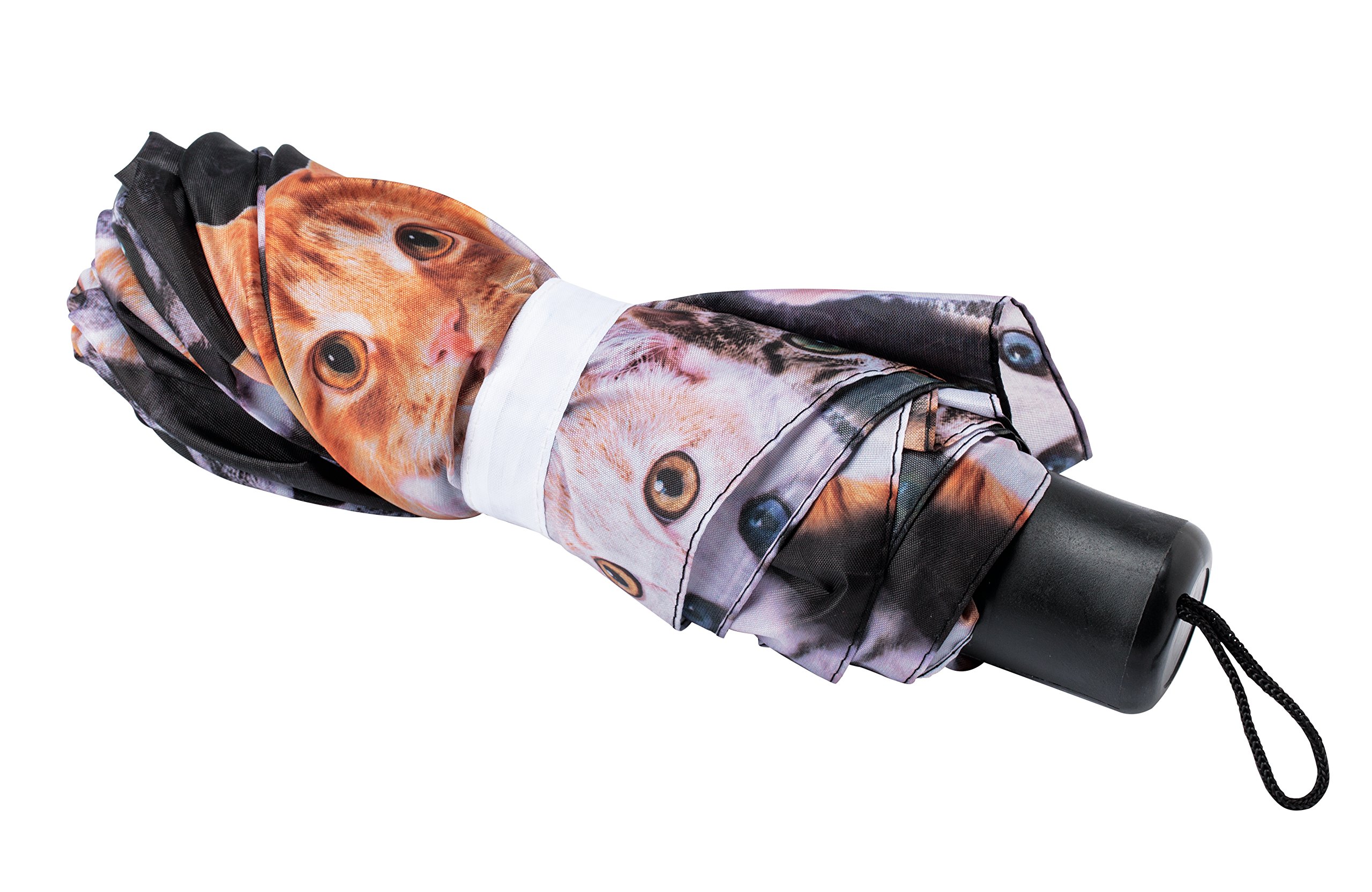 The Paragon Cat Umbrella - Compact & Portable Accessory with Photo-Realistic Kitty Images