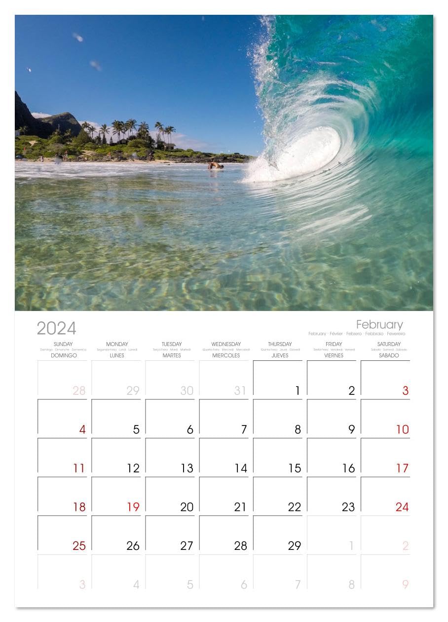 Surfen - from Inside the Barrel (Monthly Wall Calendar 2024 11.7" x 16.5" (open)), CALVENDO 14 Month Calendar