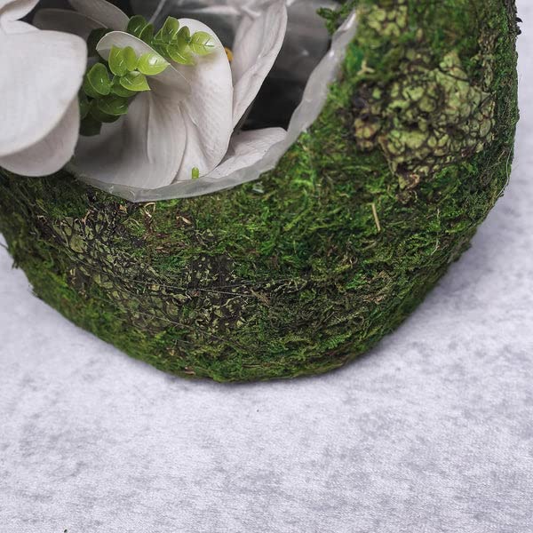 TABLECLOTHSFACTORY 9.5" Preserved Moss Planter Basket with Handle Moss Covered Planters with Inner Lining