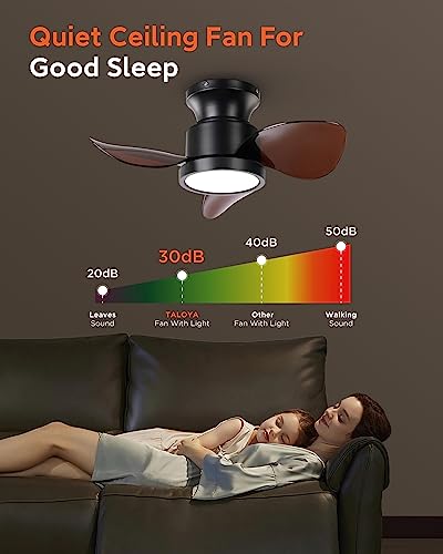 TALOYA Small Ceiling Fans with Lights, Black 22Inch Remote Control Mini Ceiling Fans with Quiet DC Motor Flush Mount 3 Colour Temperature for Bedroom, Patio,Kitchen