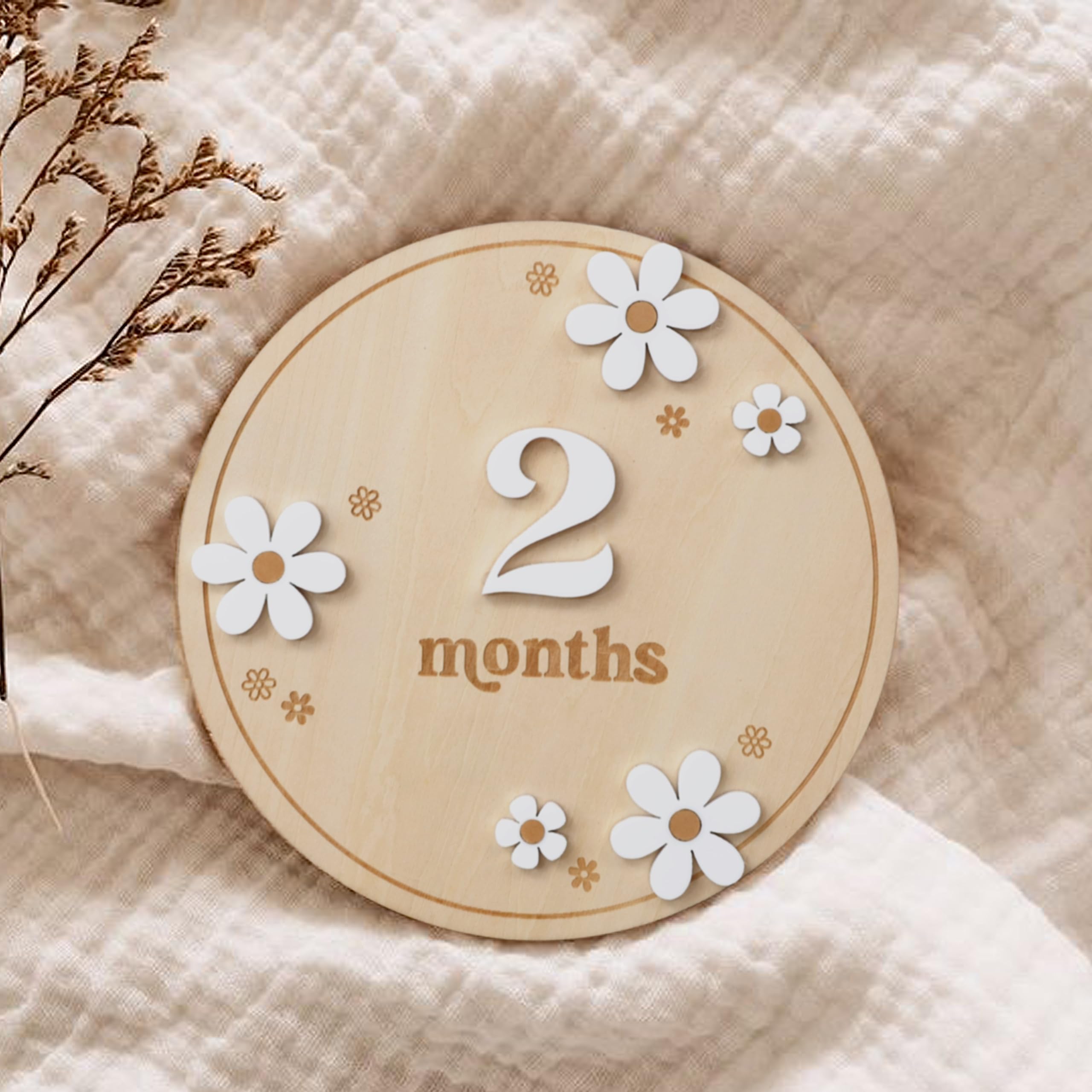Wooden Boho Daisy Flower Milestone Cards - 1-12 Months Interchangeable Milestone Card Decor,Baby Party Photo Prop,Full Moon Background Decoration Props. (2-12 Months Daisy Flower Milestone Cards)