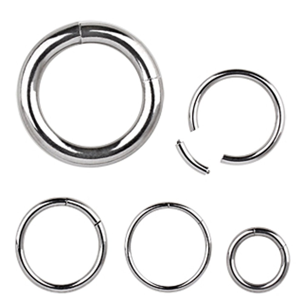 WildKlass Jewelry Septum Ring 16G 14G 12G 10G 8G Steel Segment Seamless Nose Hoop (14g 3/8" 10mm)