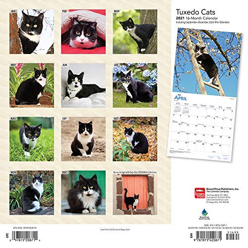 Tuxedo Cats 2021 Calendar