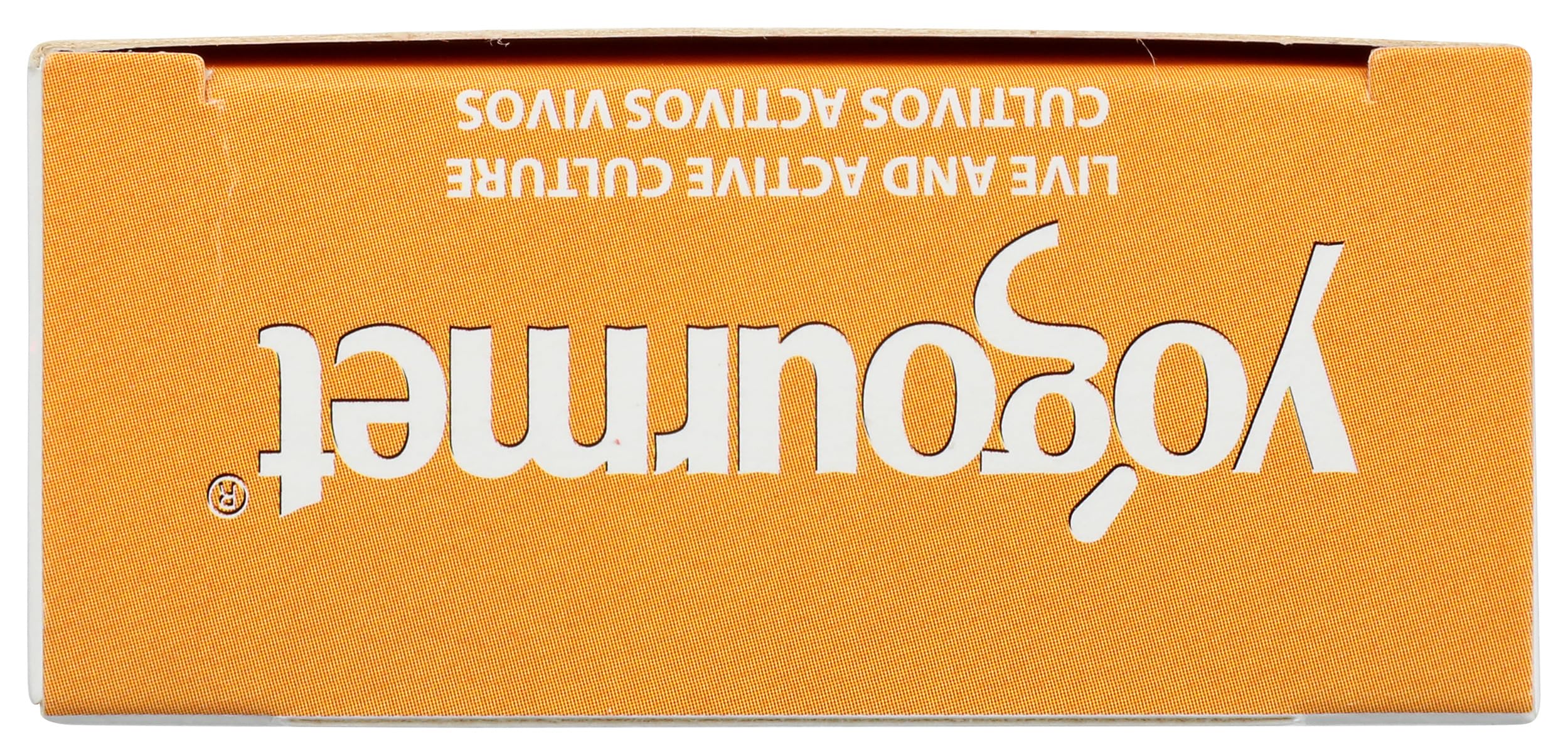 YOGOURMET Dried Yogurt Starter 0.17 Ounce (Pack of 1)
