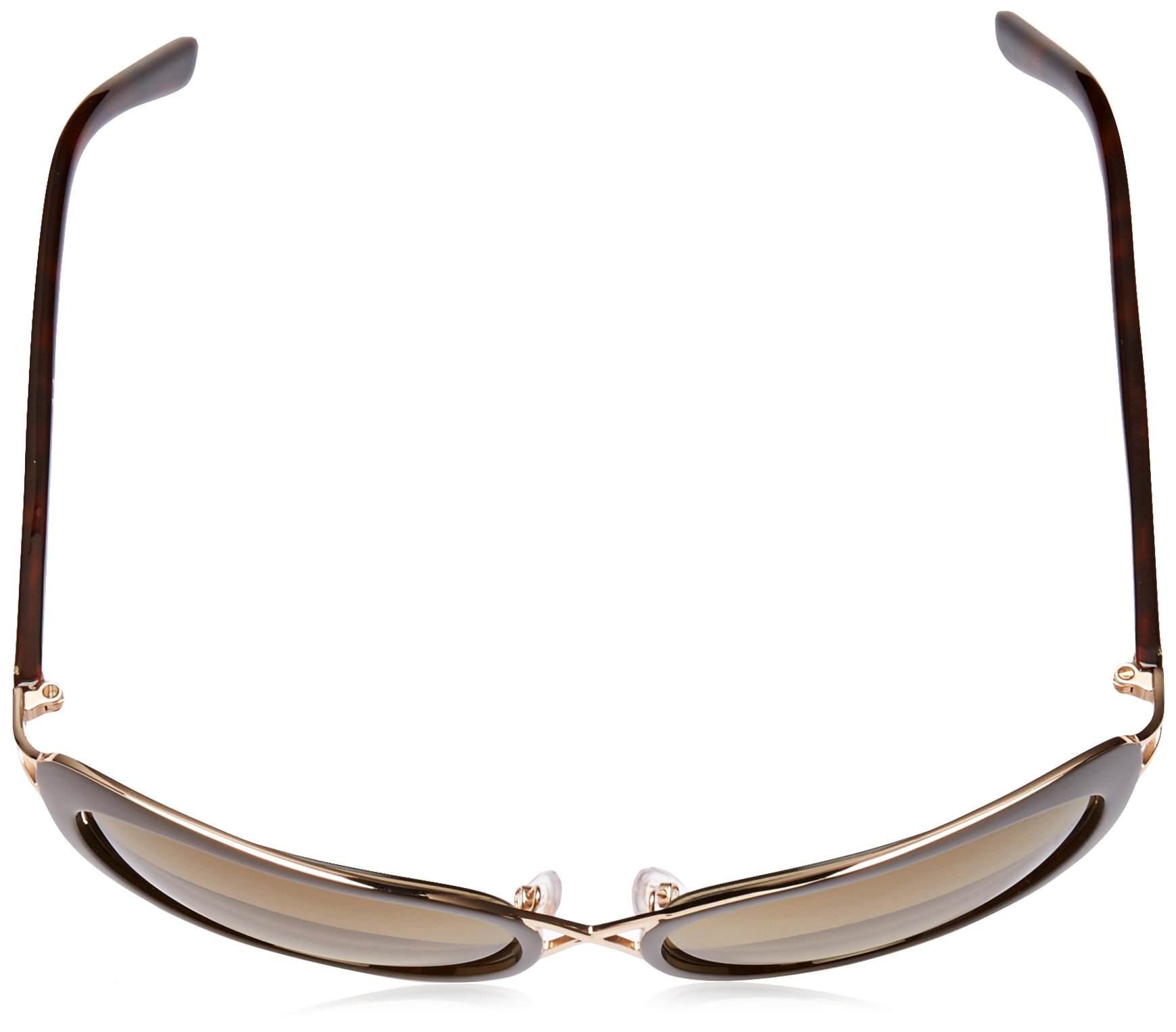 Tom Ford Daria Sunglasses, Brown/Gold