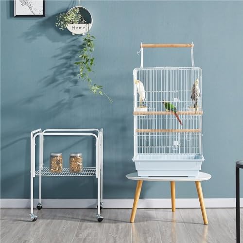 TENAS Deluxe Spacious Bird Cage - Interactive Play Top - Wire Construction - Rust Resistant Paint Coating - Wooden Perch - Convenient Small Feeder Door - Removable Rolling Bracket Metal (White)