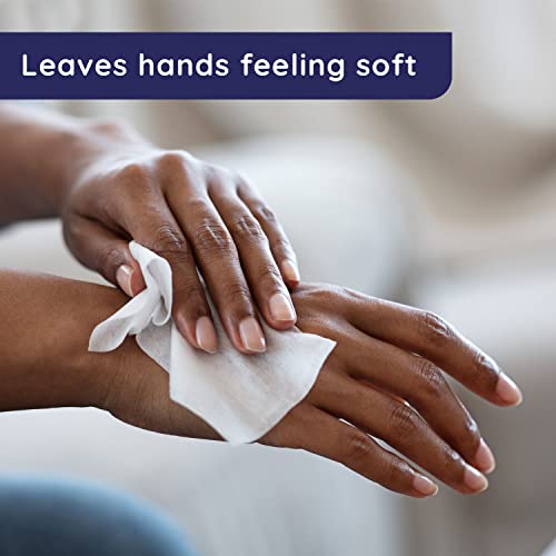 Wet Ones Antibacterial Hand Wipes Singles, Tropical Splash Wipes | Individual Wipes, Antibacterial Wipes, Hand Wipes Individually Wrapped | 24 ct. (6 pack)