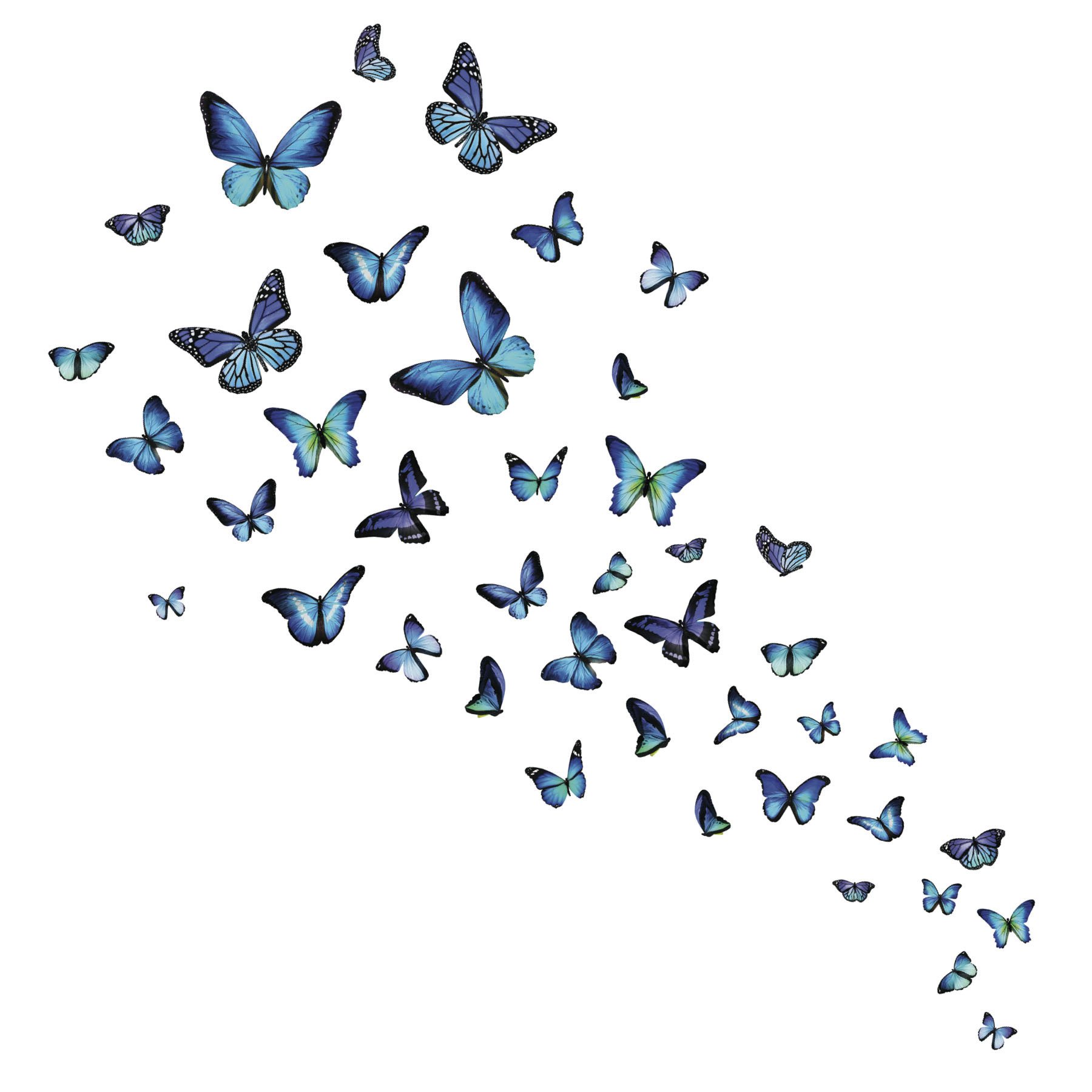 Wall Pops WPK1725 Mariposa Butterfly Wall Art Kit