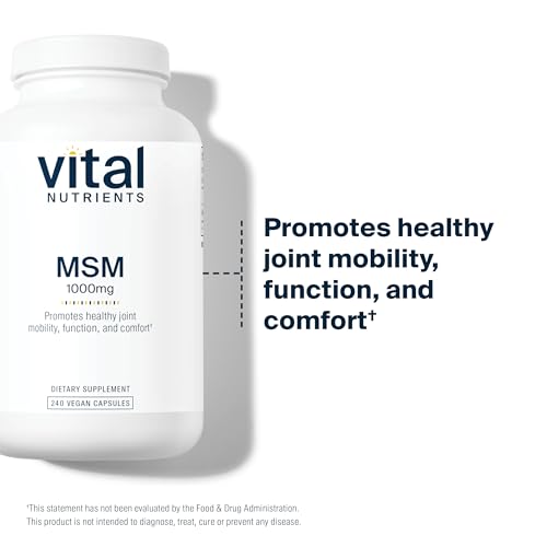 Vital Nutrients - MSM - Natural Form of Organic Sulfur - 240 Vegetarian Capsules per Bottle - 1000 mg