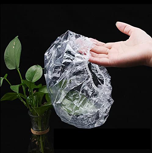Years Calm 30PCS Disposable Shower Caps, Clear Shower Caps for Travel, large Plastic Hair Caps for Women, Home Use, Hotel (30PCS large Size 20.5"