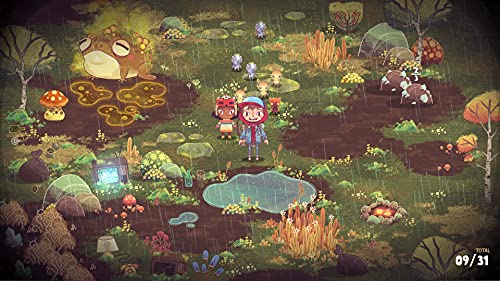 The Wild at Heart (Nintendo Switch)