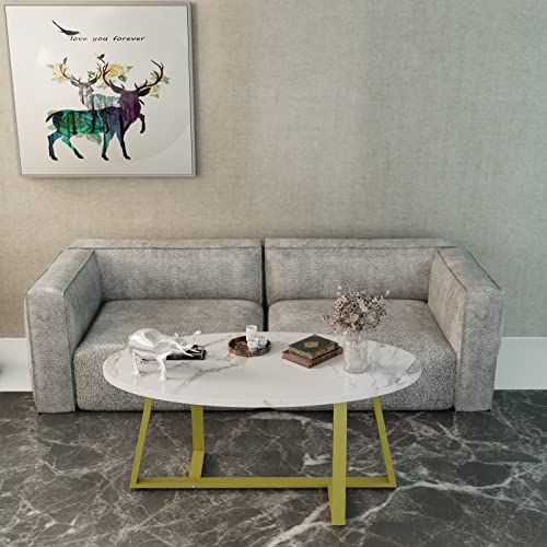 Wolawu Oval Faux Marble Coffee Table - Modern Gold Elliptic Side End Table for Living Room and Kitchen