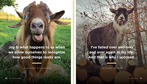 You've Goat This: Wisdom to Get You Through the Good, the Baaad, and Everything in Between