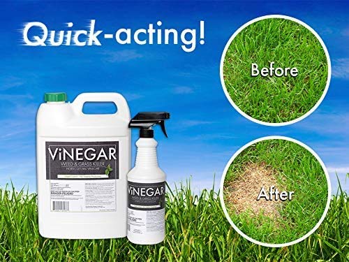 Vinegar Weed & Grass Killer with Sprayer – Weed & Grass Killer Approved for Organic Production | Pet Safe | Glyphosate Free Herbicide - 1 Gallon with Sprayer