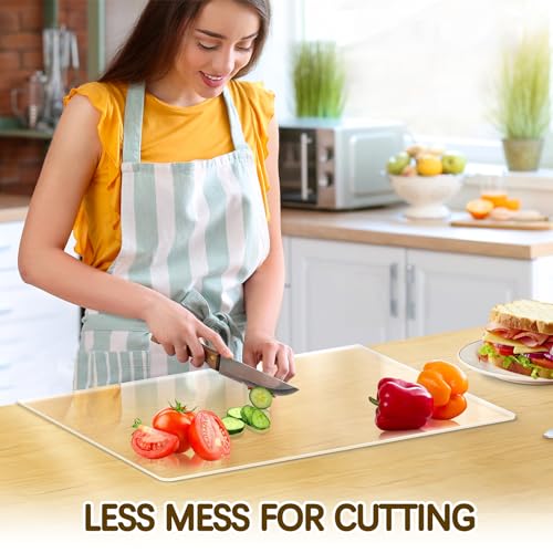 YUYUOA Acrylic Cutting Board for Kitchen Counter with Lip,Clear Cutting Board for Countertop,Transparent Acrylic Non Slip Chopping Boards for Countertop,Clear Cutting Boards for Kitchen(14"X10")