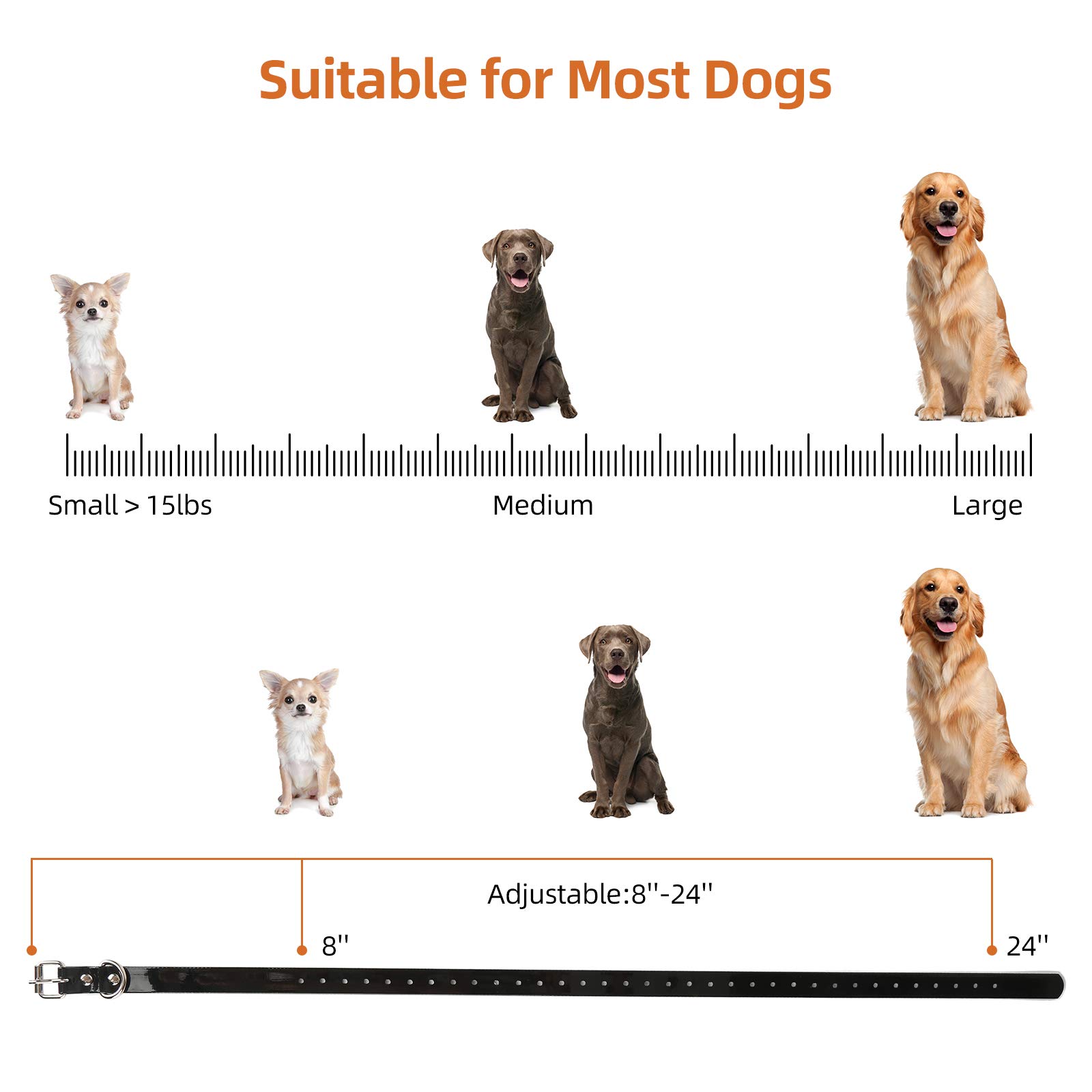 TTPet In-ground/Aboveground Pet Containment System, Electric Dog Fence, IP66 Waterproof & Rechargeable Collar, Shock&Tone Correction, 700Ft Wire, 2 Dogs System