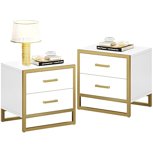 YITAHOME Nightstand with 2 Drawers, Small End Side Table with Storage, Modern Bedside Bed Table with Metal Frame for Small Space, Bedroom and Living Room, White