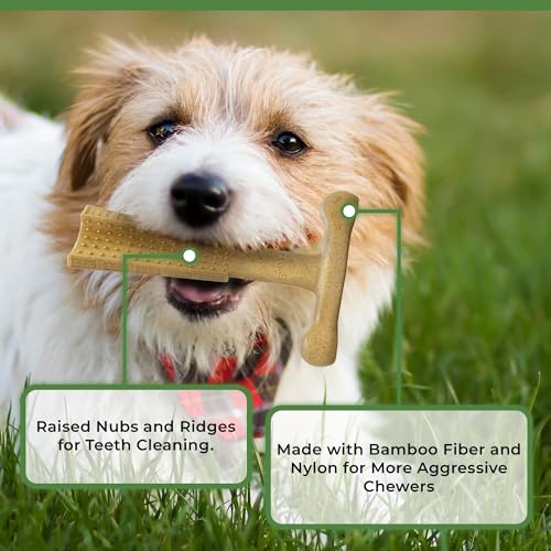 SPOT Bam-bones PLUS T Bone - Bamboo Fiber & Nylon, Durable Long Lasting Dog Chew for Aggressive Chewers – Great Toy for Adult Dogs & Teething Puppies under 60lbs, Non-Splintering, 6in, Chicken Flavor