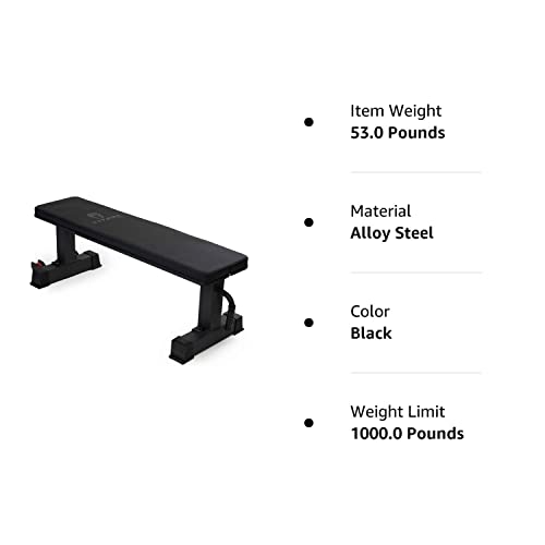 Titan Fitness Flat Weight Bench, Rated 1,000 LB, Wheels Handle, International Competition Standards