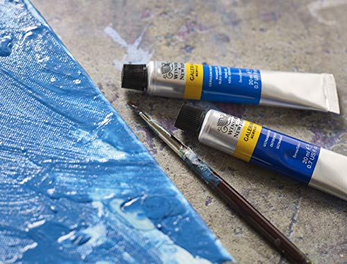Winsor & Newton Galeria Acrylic Paint, 10 x 20ml (0.7--oz) Tube Paint Set