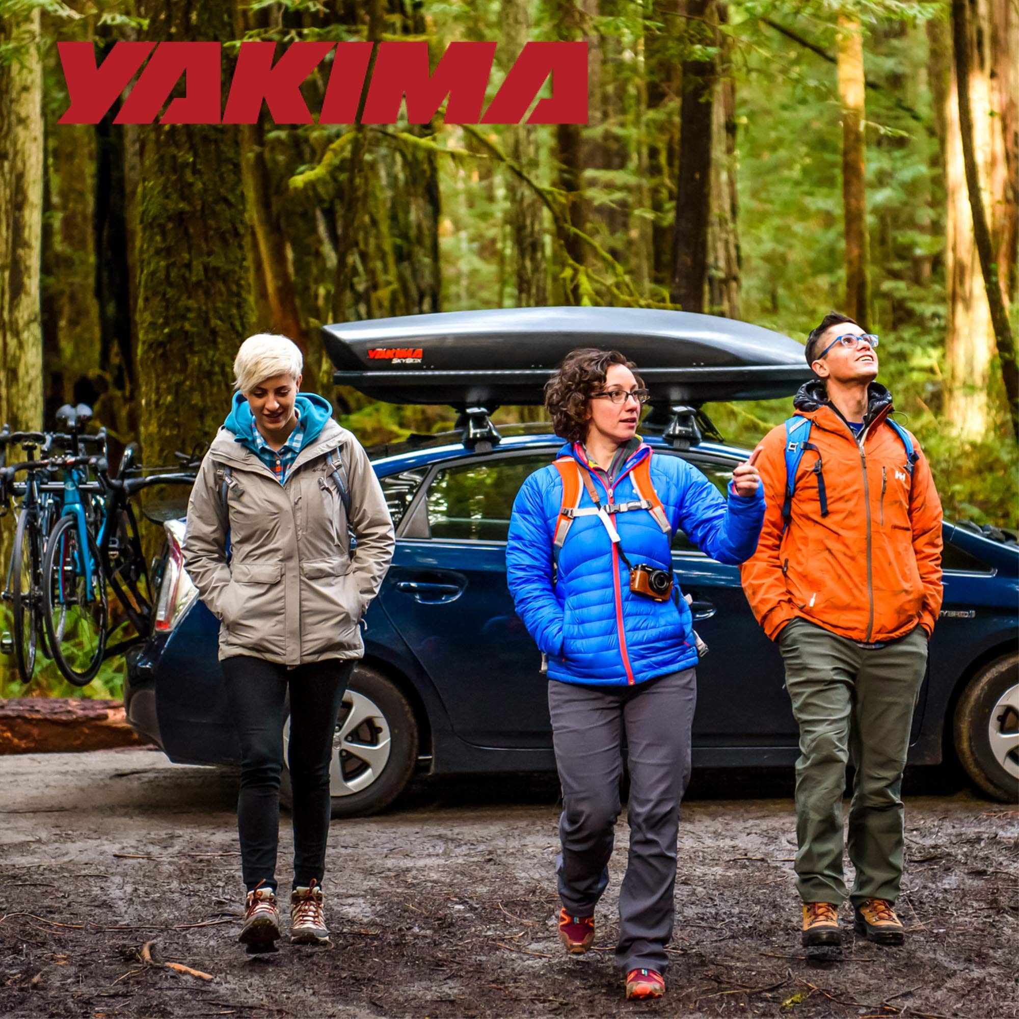 YAKIMA, FullTilt Tilting Hitch Mount Hanging Bike Rack, 4 Bike Capacity, Anti Sway, Lockable, Compatible with both 1-1/4" and 2" hitch receivers