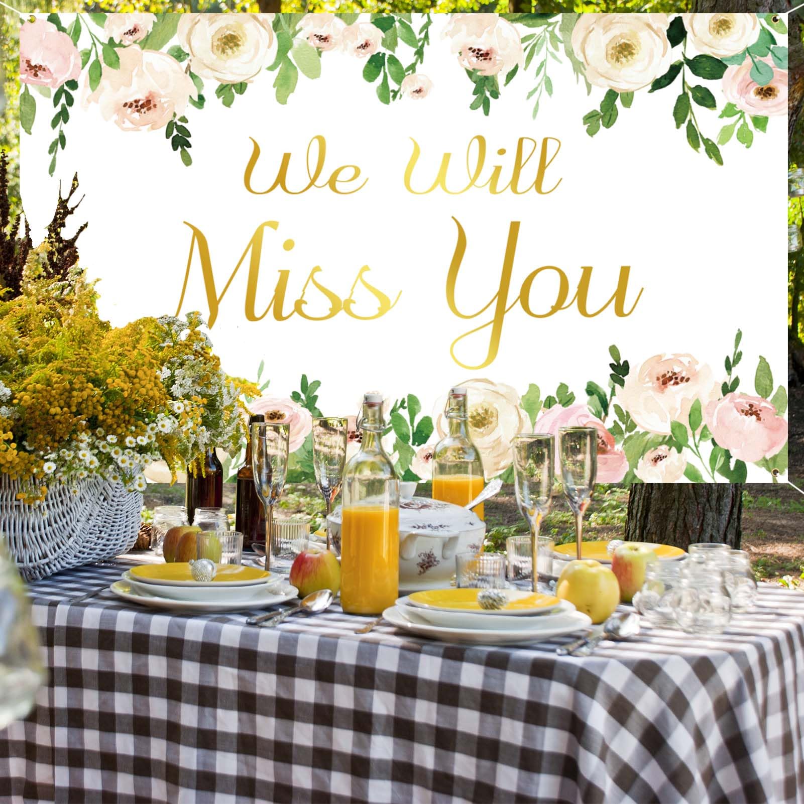Vlipoeasn White Farewell Party Decorations, We Will Miss You Backdrop Banner, Goodbye Party Decorations for Coworker, Going Away Party Retirement Party Bye Office Work Graduation Party Decorations